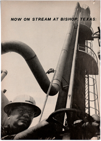 Celanese 100 Years Anniversary Timeline